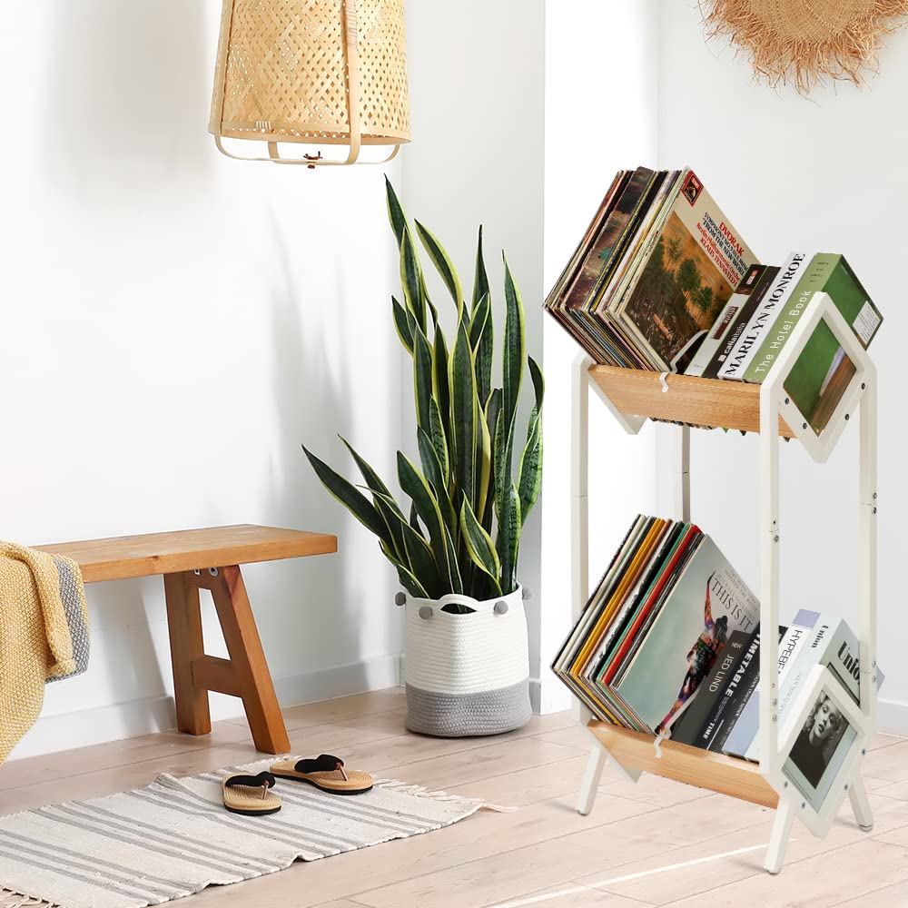 Vintage Oak Double-Layer Vinyl Record Storage Rack - Stylish and ...
